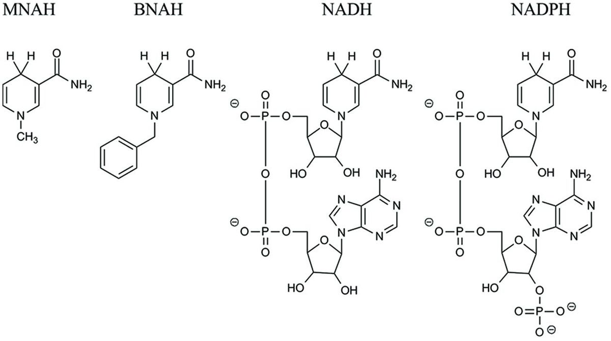 nadh molecular structure