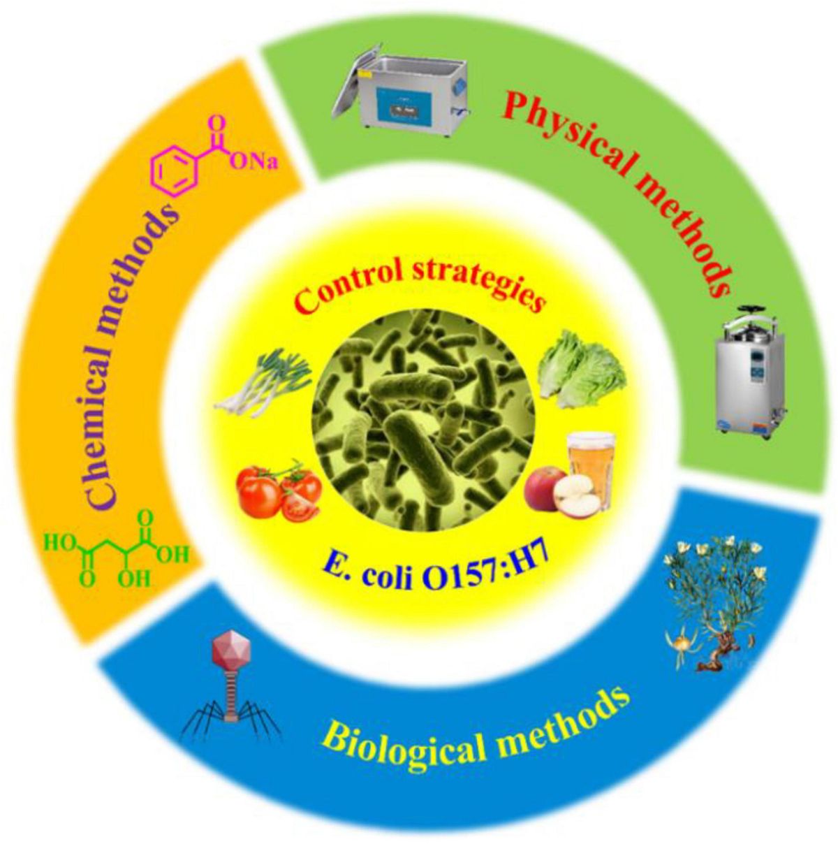 e coli prevention tips