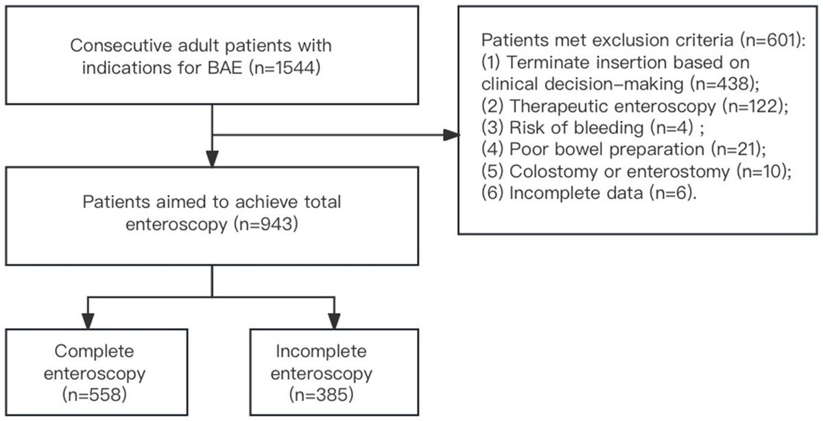 enteroscopy preparation