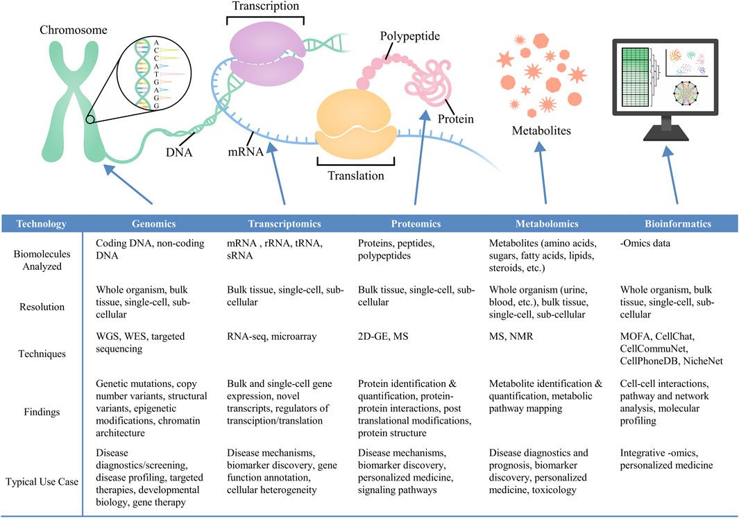 arik weinstein alter