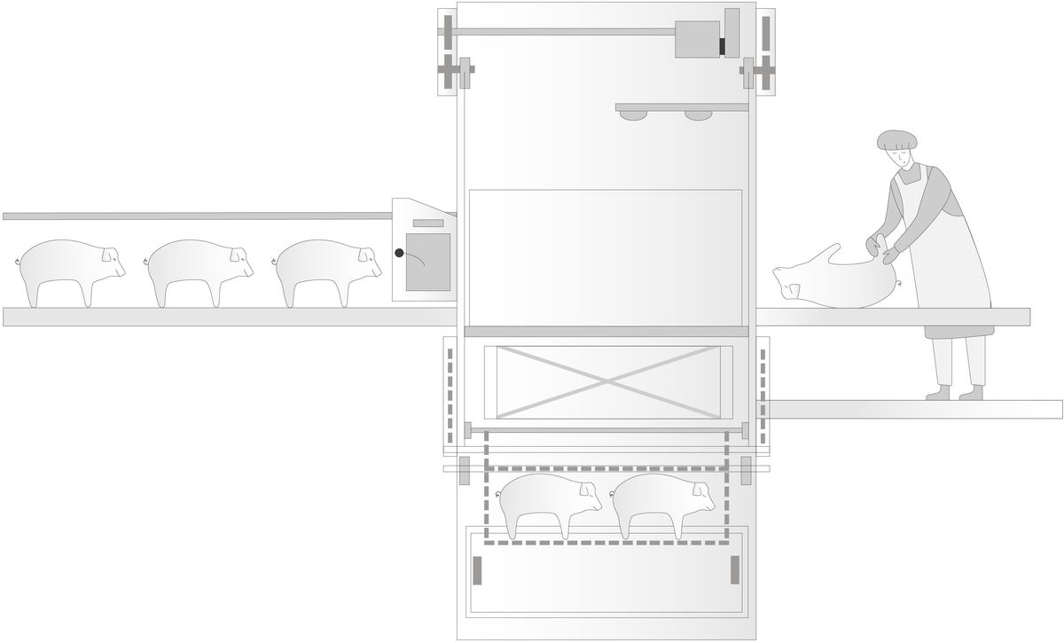pig slaughter methods uk