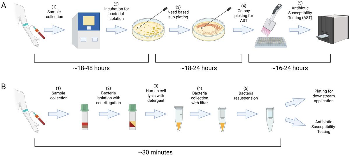 streptococcus isolation