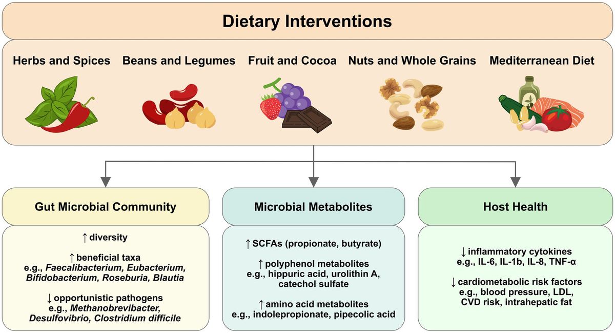 gut microbes supplements
