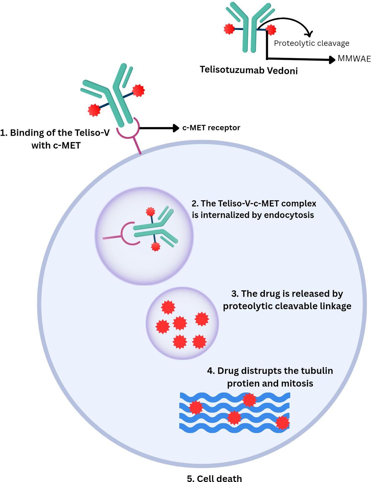 fatima batool google scholar