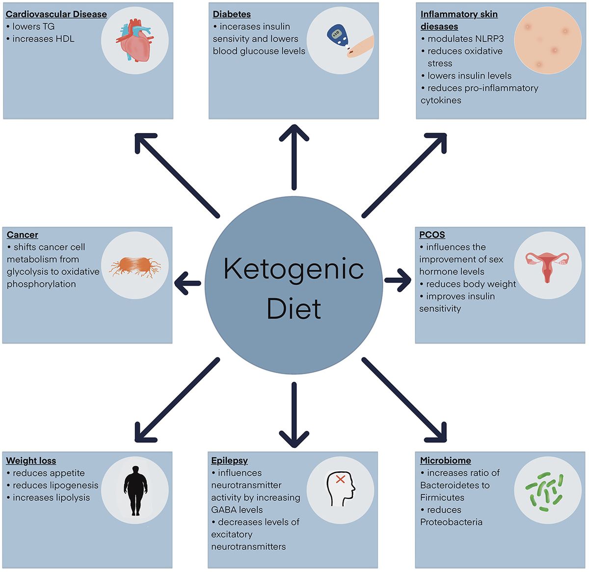 ketogenesis ppt