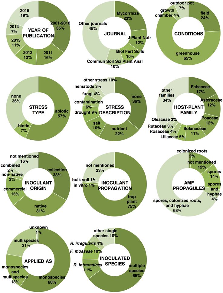 caroline della beffa