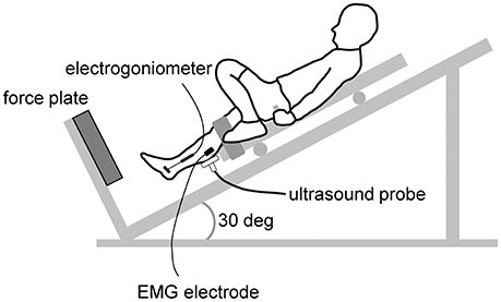 electrogoniometer