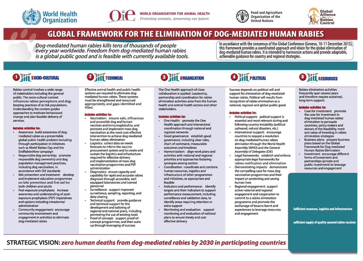 rabies diagnosis code