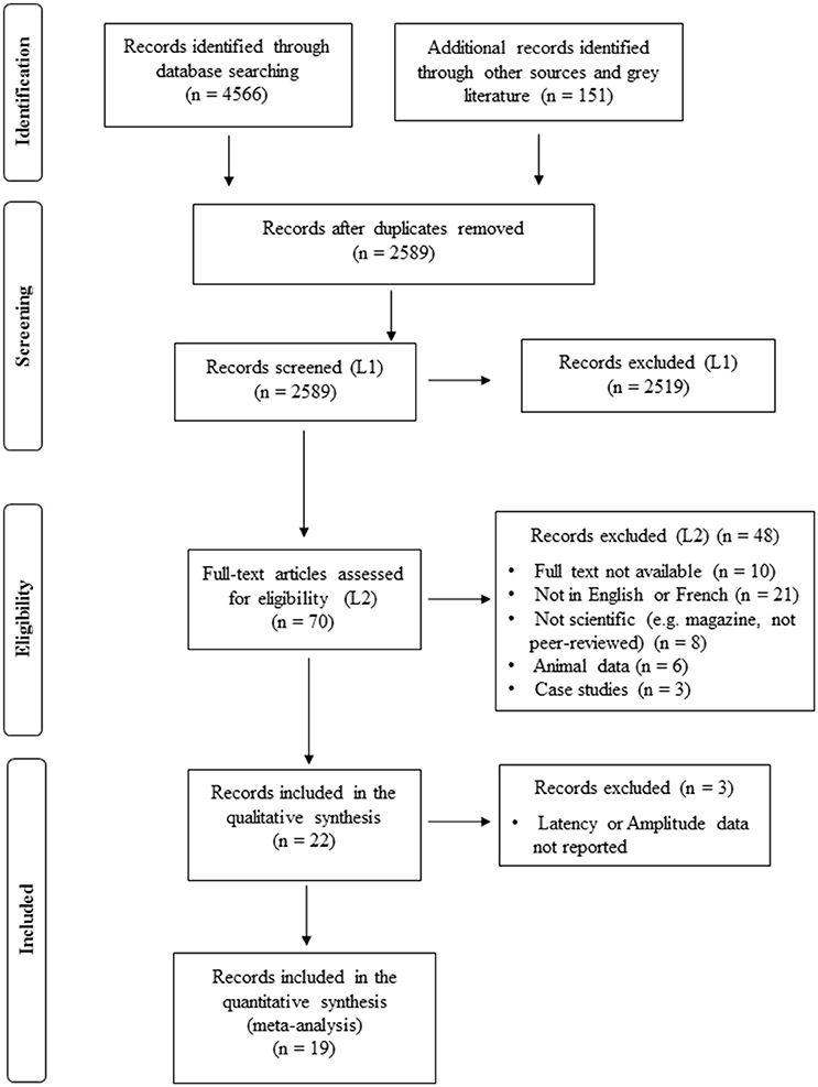 auditory pathway flowchart physiology