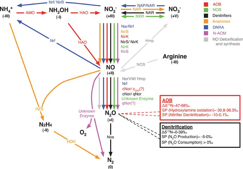 nitrous oxide detection