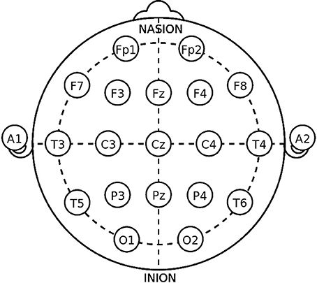 eeg electrode placement 3d