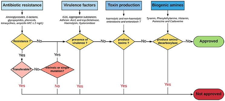 enterococcus faecalis symptoms