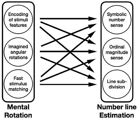spatial orientation skills examples