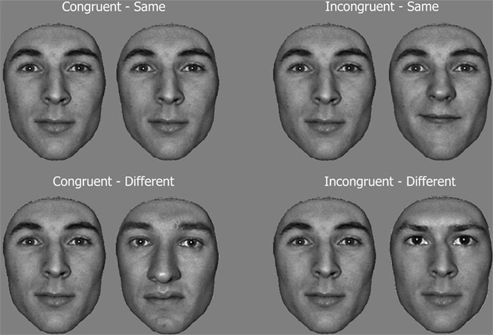 fusiform face area example