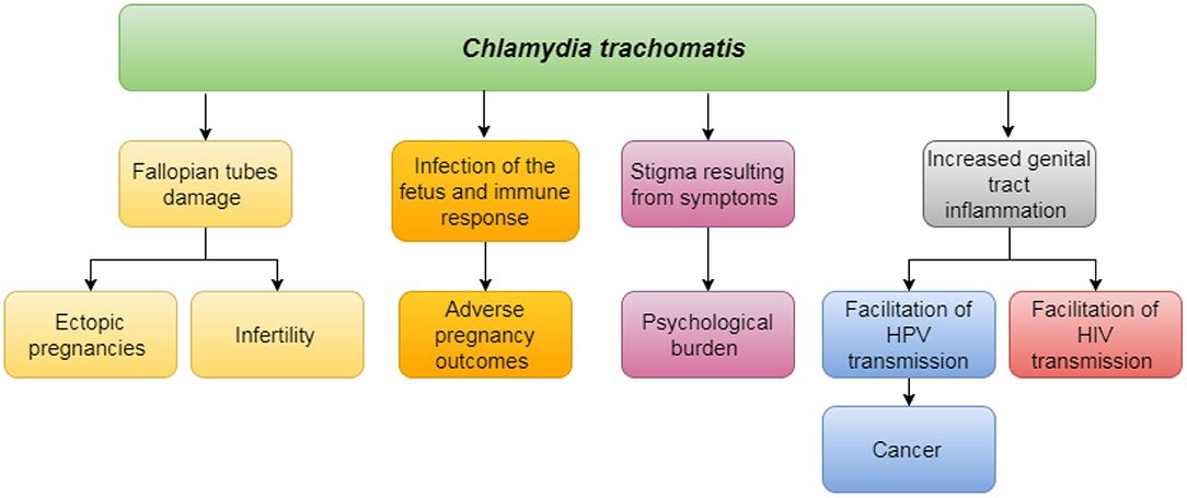 chlamydia biobank