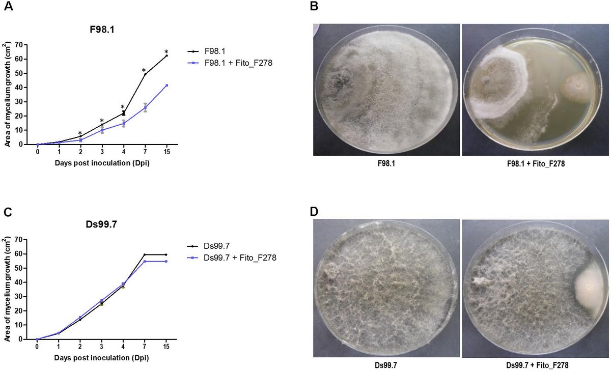 aureobasidium pullulans igg