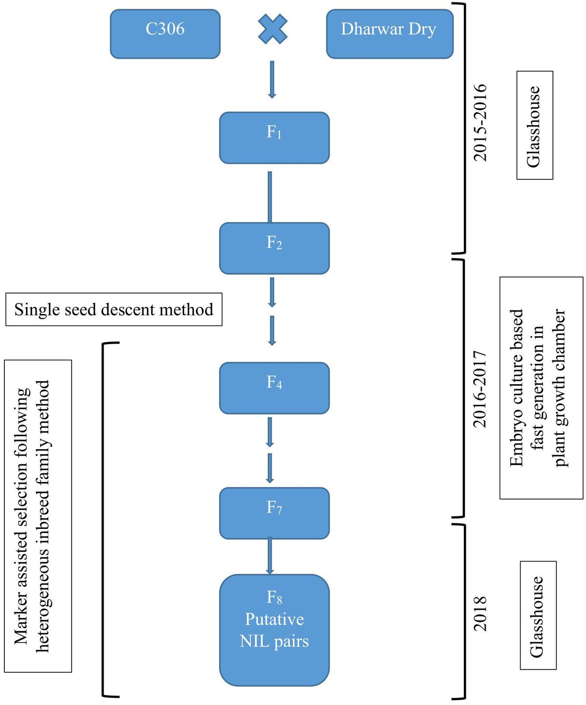 single seed descent method given by