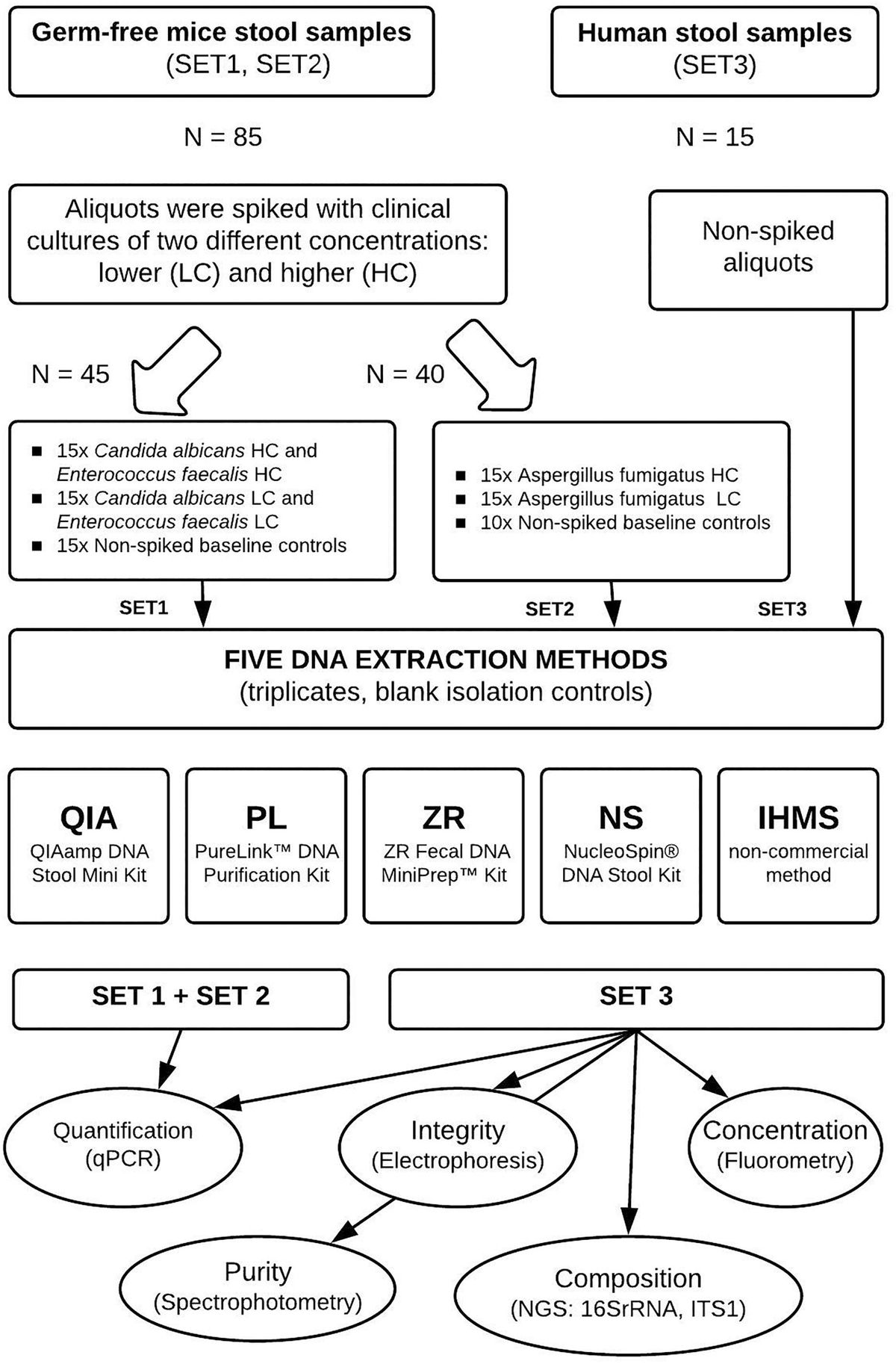 candida stool analysis