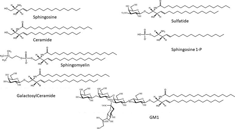 sphingosine phosphate structure