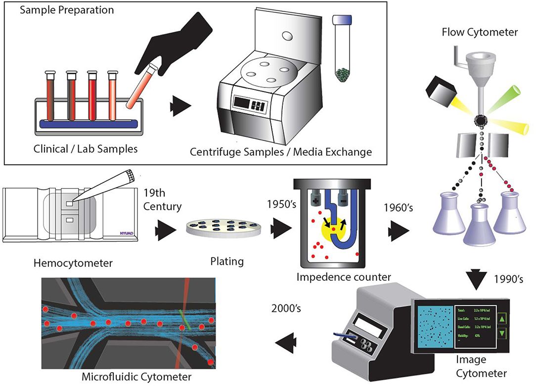 flow cytometry examples