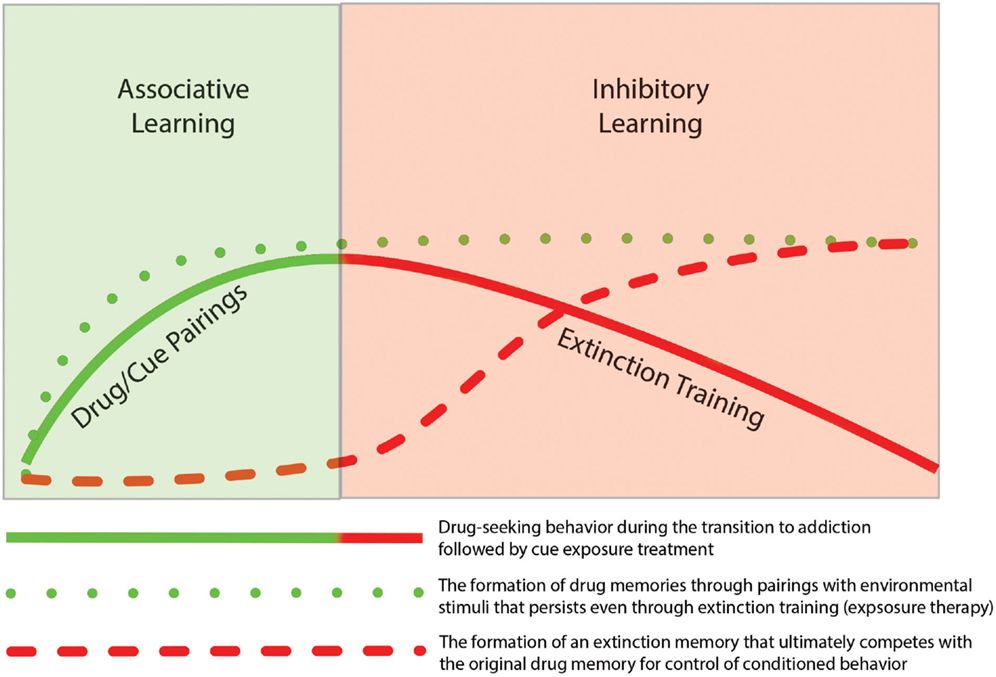 opiate seeking behaviour