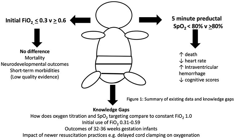 newborn needs oxygen