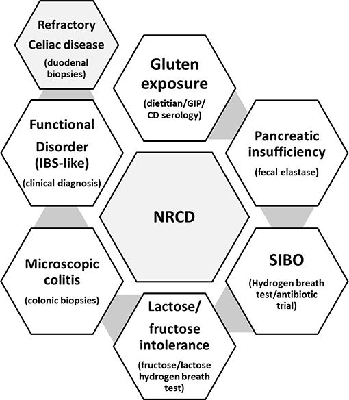 coeliac stool sample