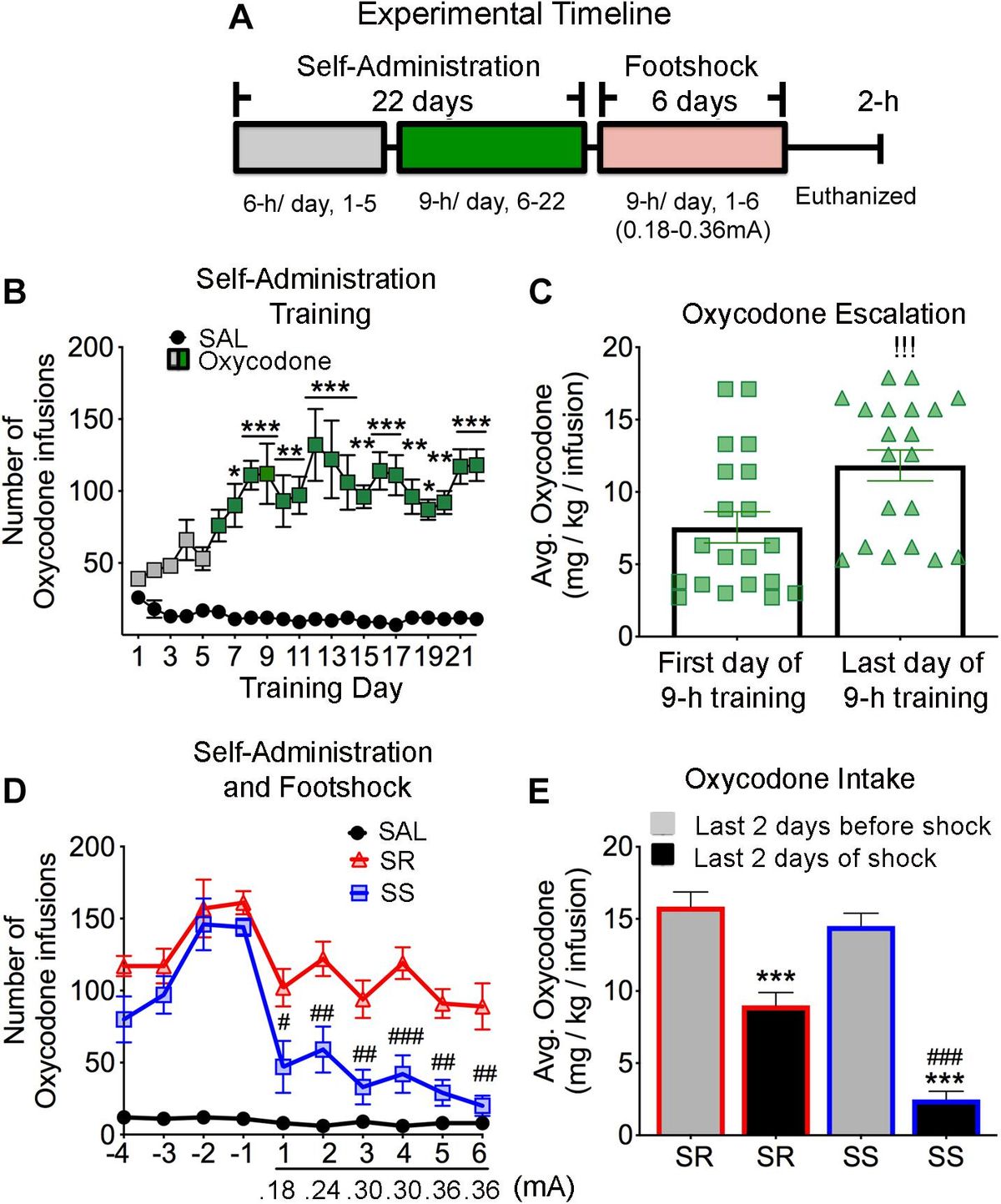 oxycodone addiction timeline