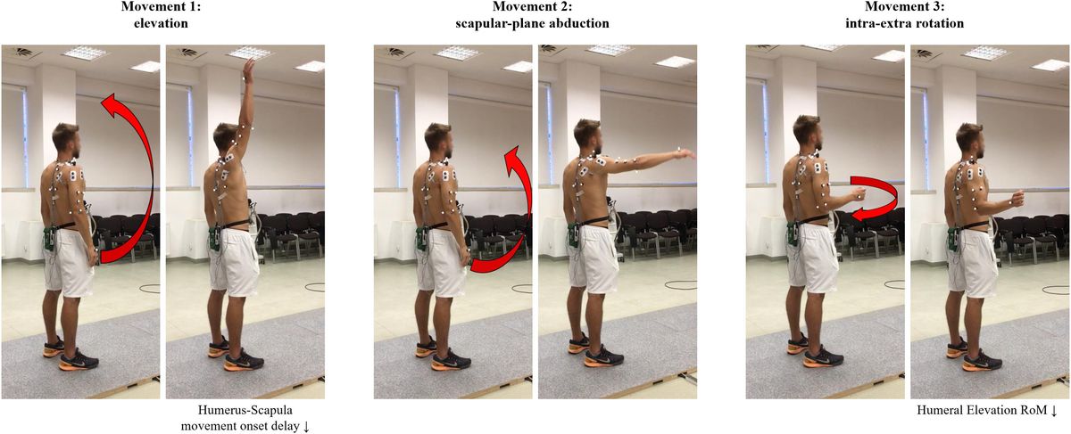elevation movement exercise