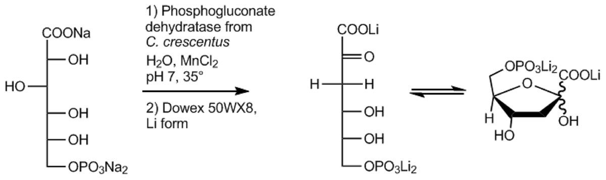 6 phosphogluconate abbreviation