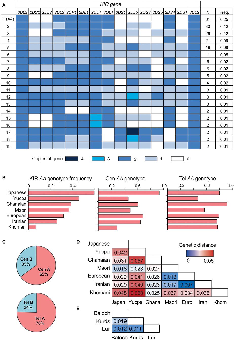 alexander petrushkin