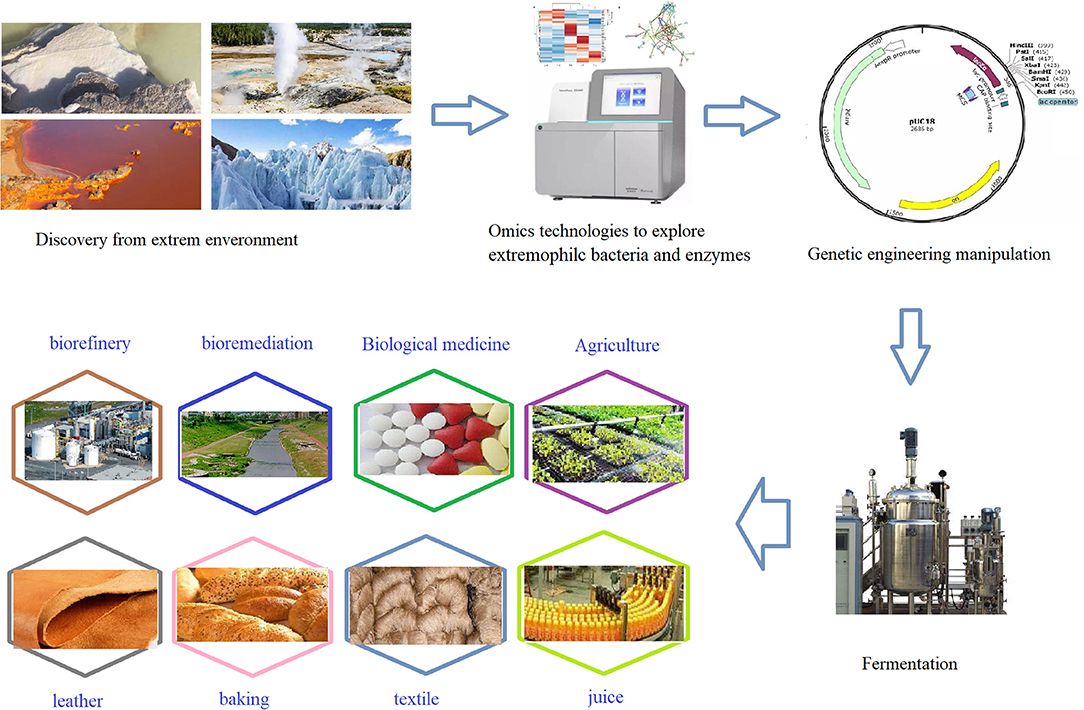 biotechnology in environment examples