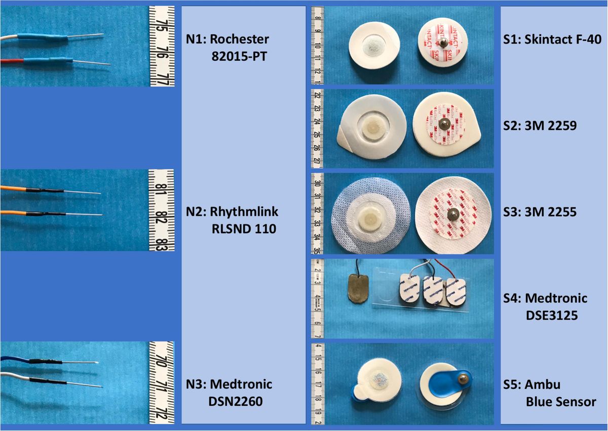 electromyography horses