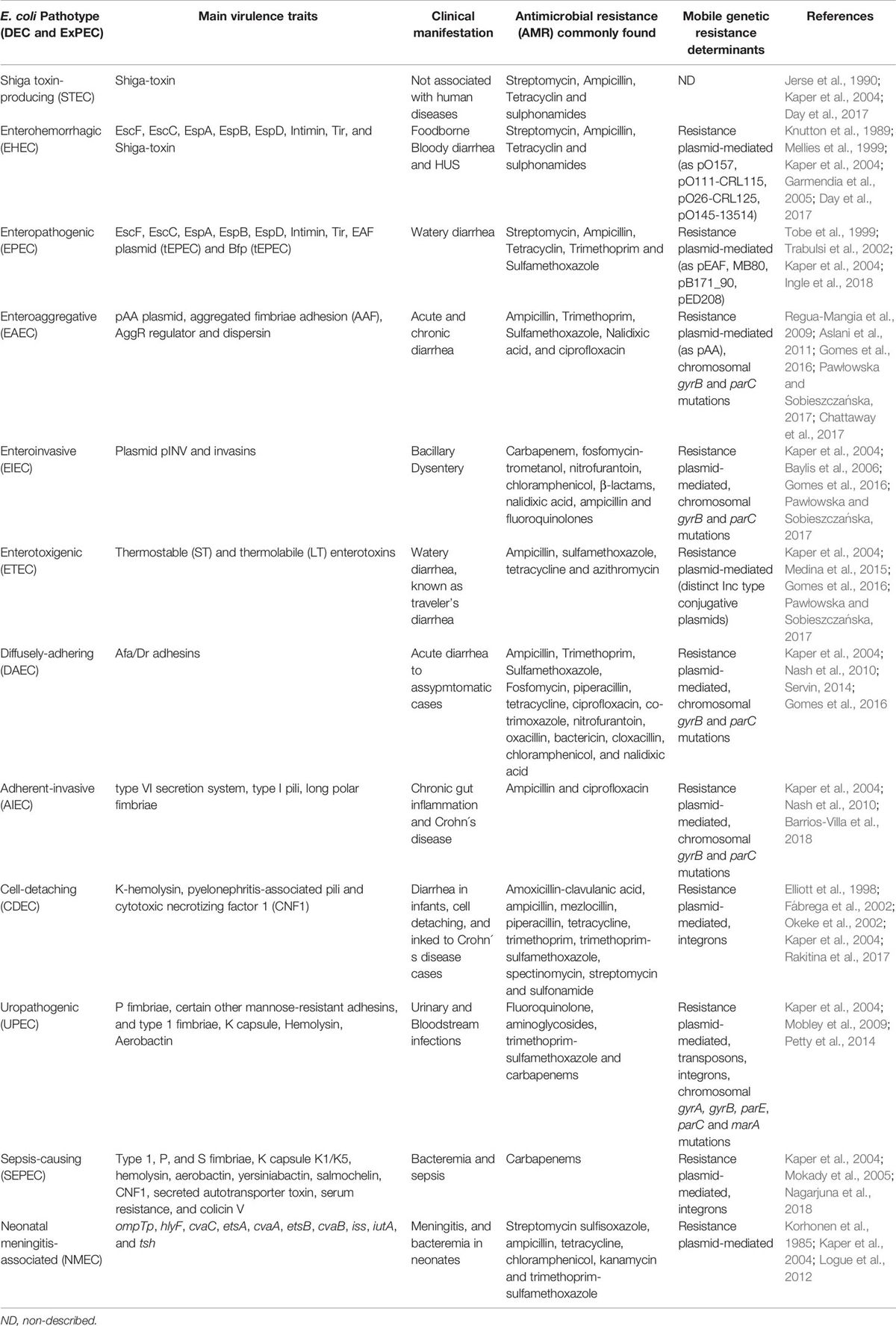 e coli pathogenicity