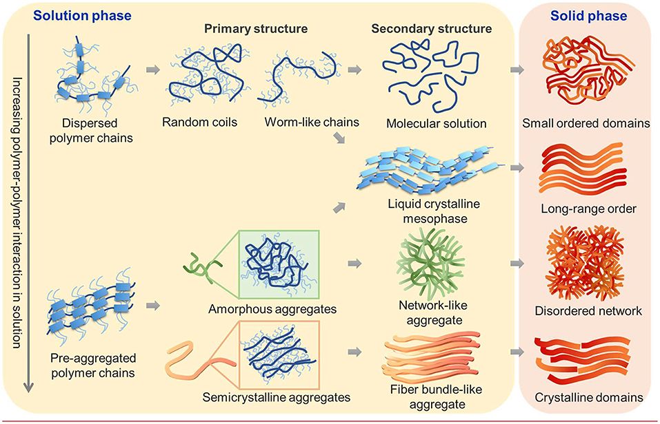 random coil polymer