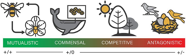 coevolution in plants