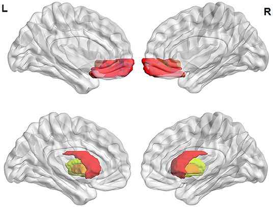 orbitofrontal cortex dysfunction