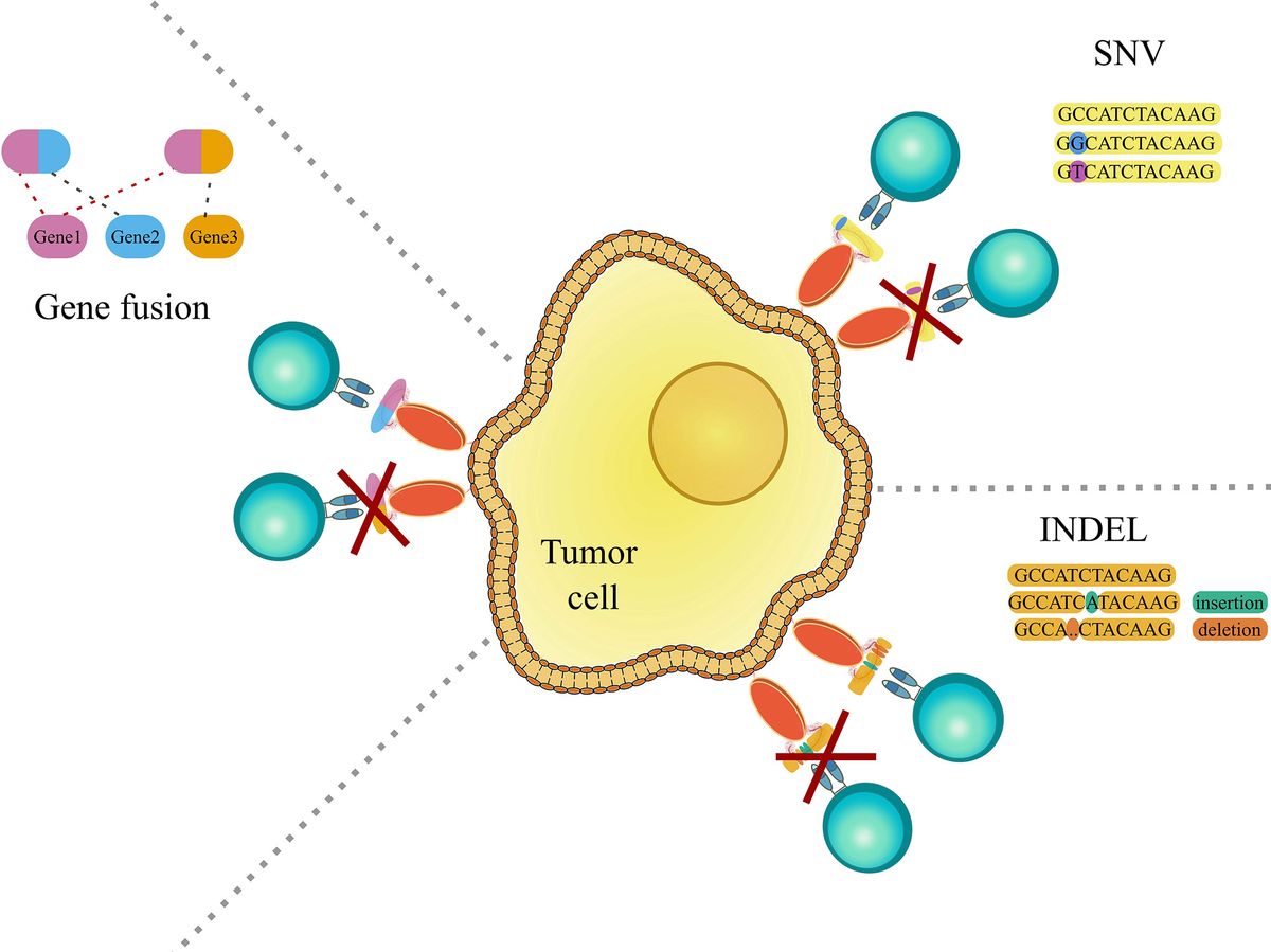 antigen and epitope difference