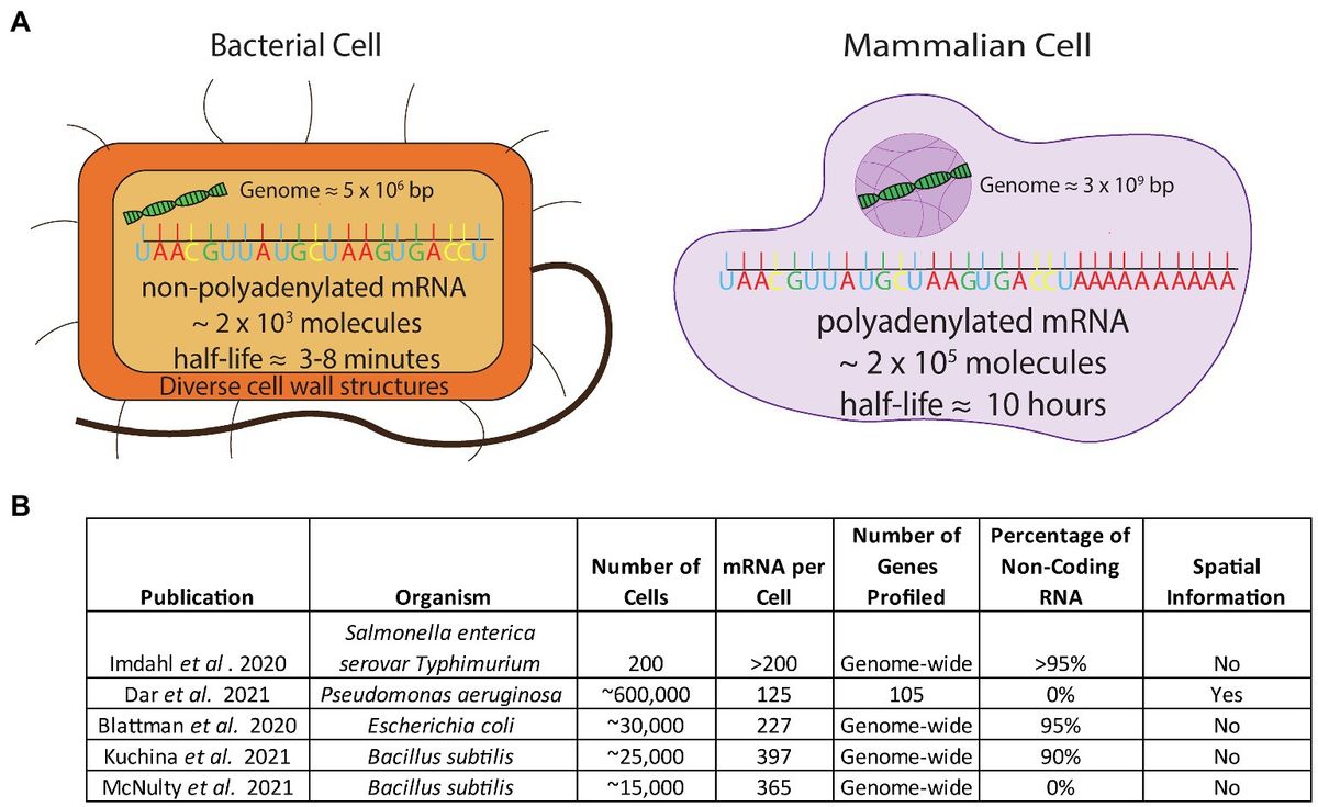 milo scrnaseq