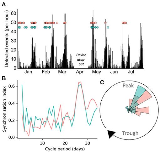 simple partial seizures nhs