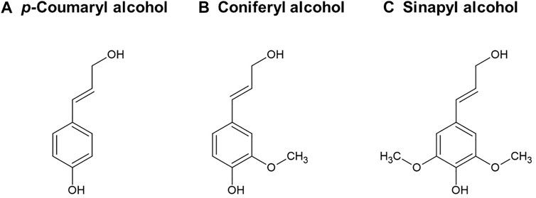 lignin based monomers
