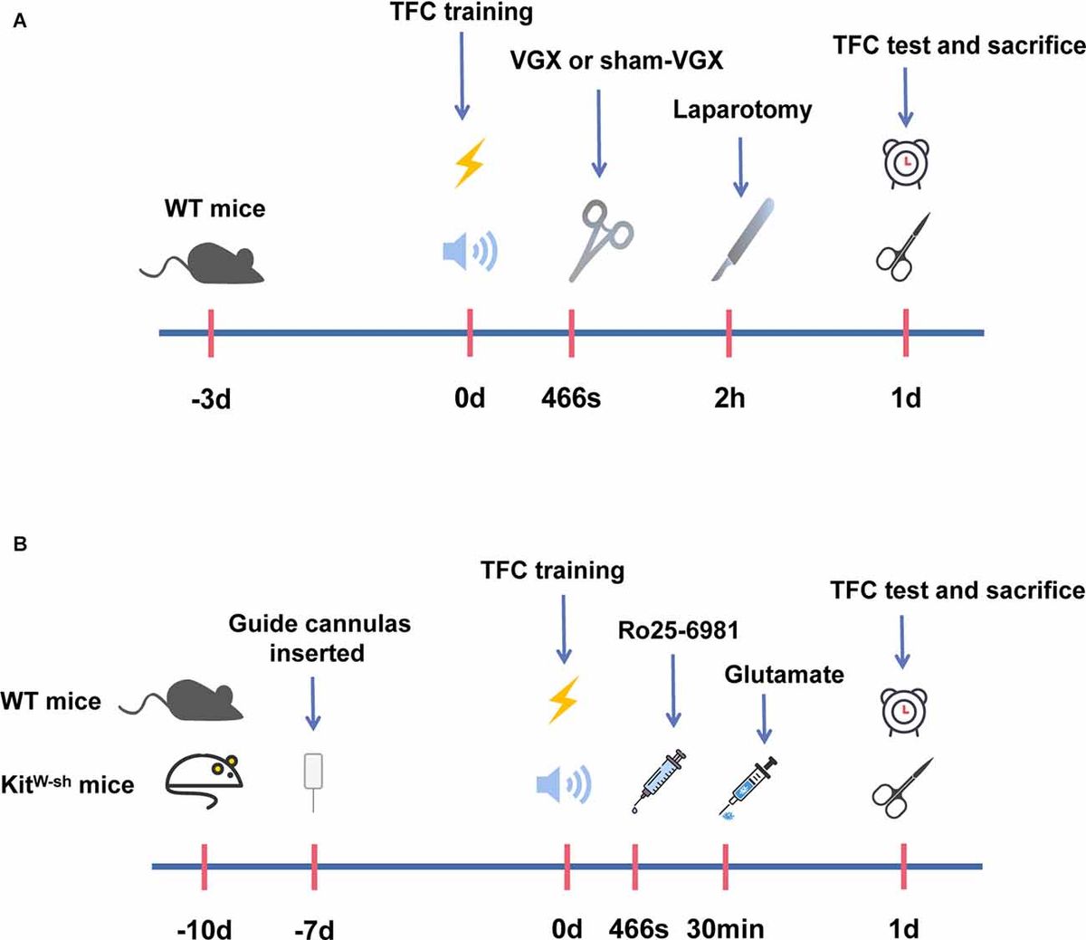 valentin matus martinez
