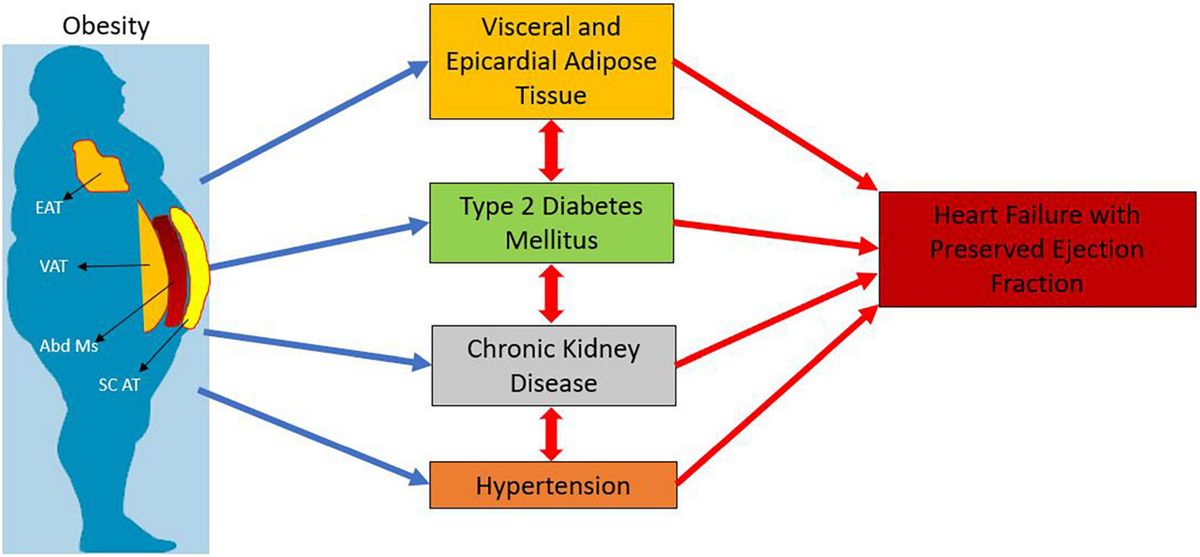 obesity heart problems