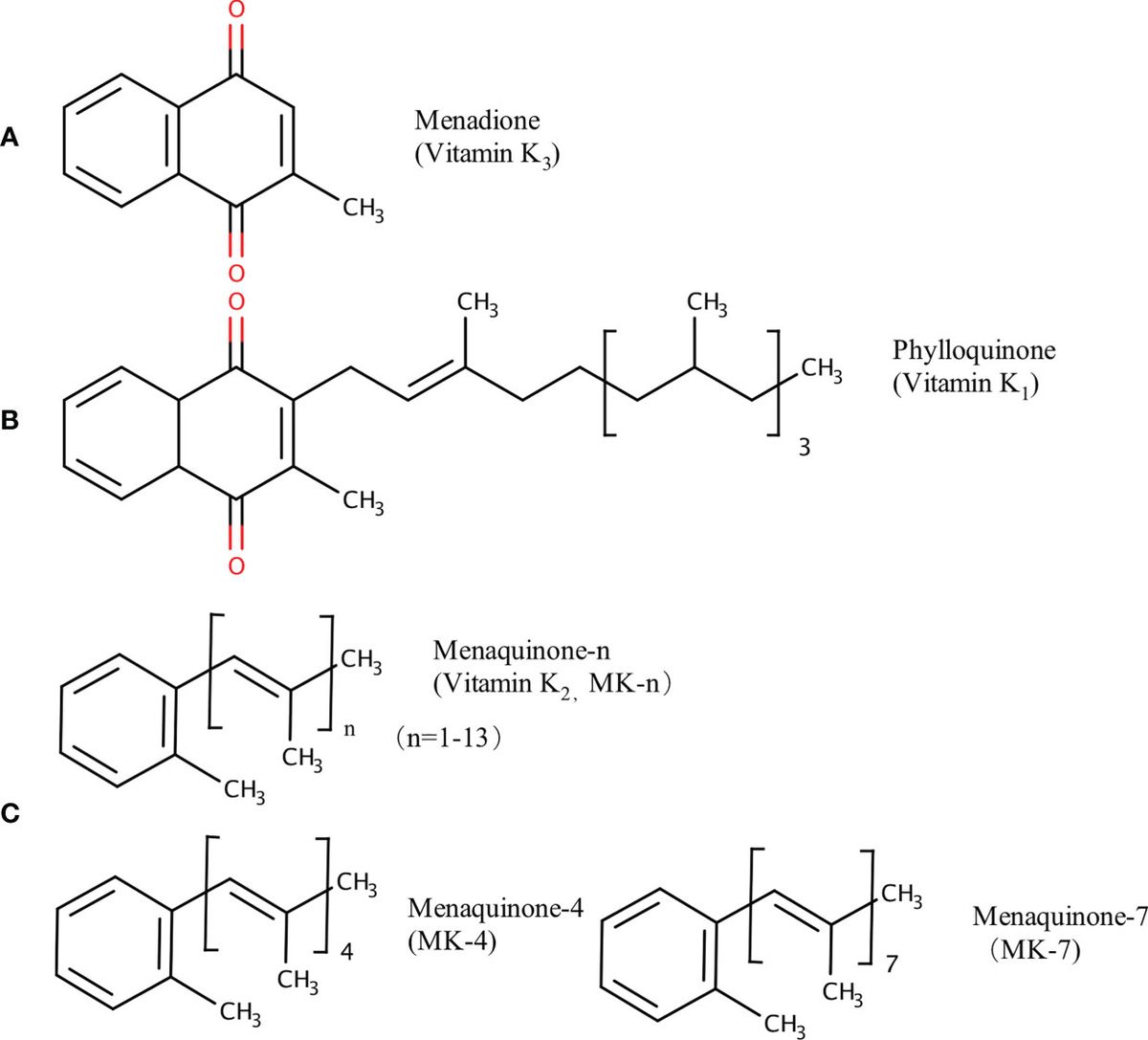 vitamin k structure and function
