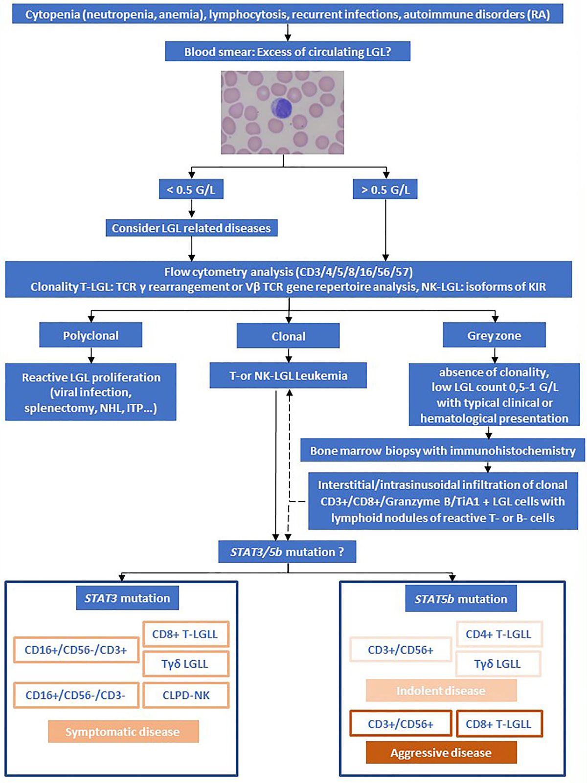 lgl leukemia