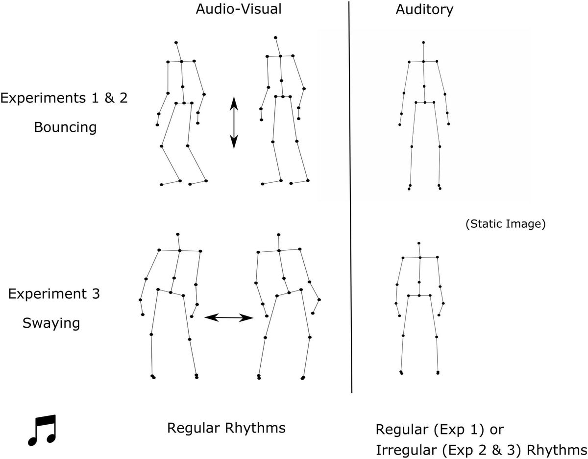 what is visual rhythm