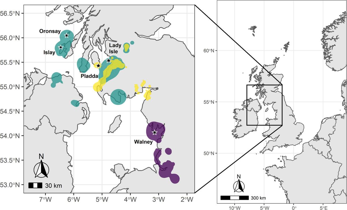 gregory calladine smith