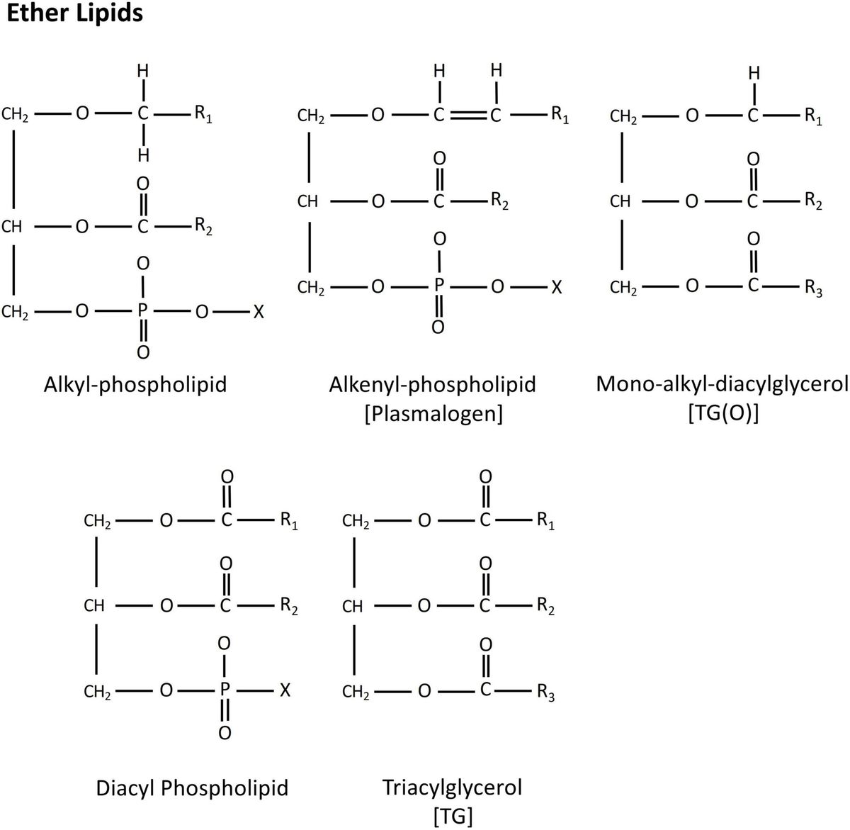 ether structure and uses