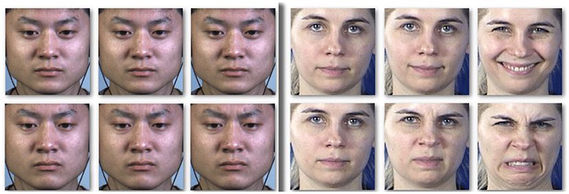 facial micro expressions