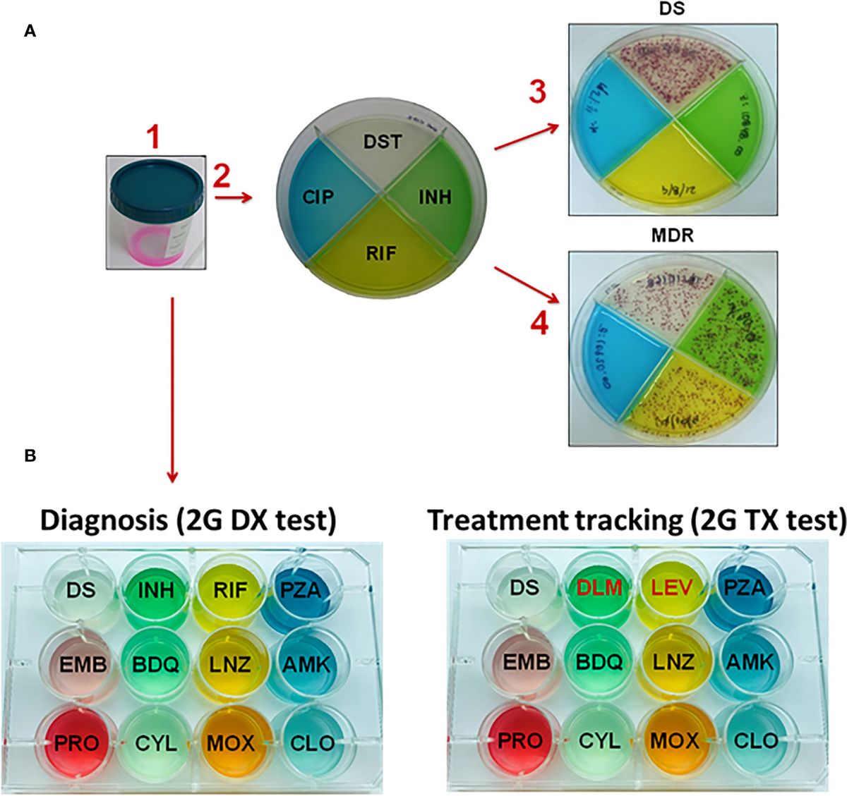 pyrosequencing tb